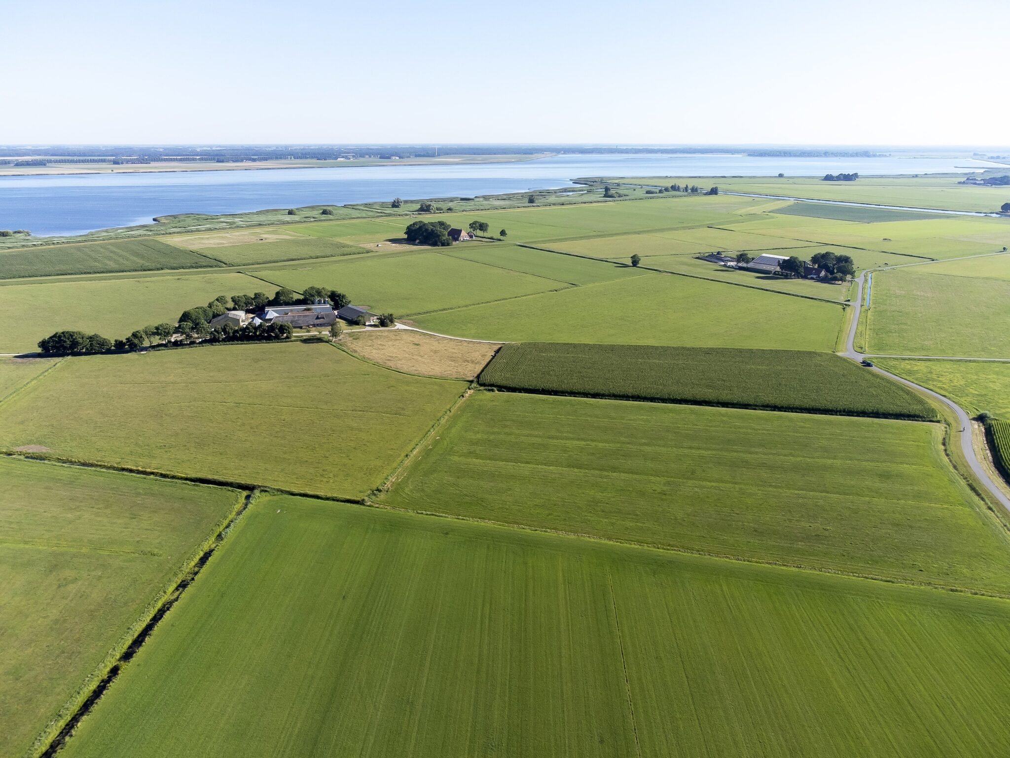 Kruidenrijk grasland inzaaien of doorzaaien - Deltaplan Agrarisch ...