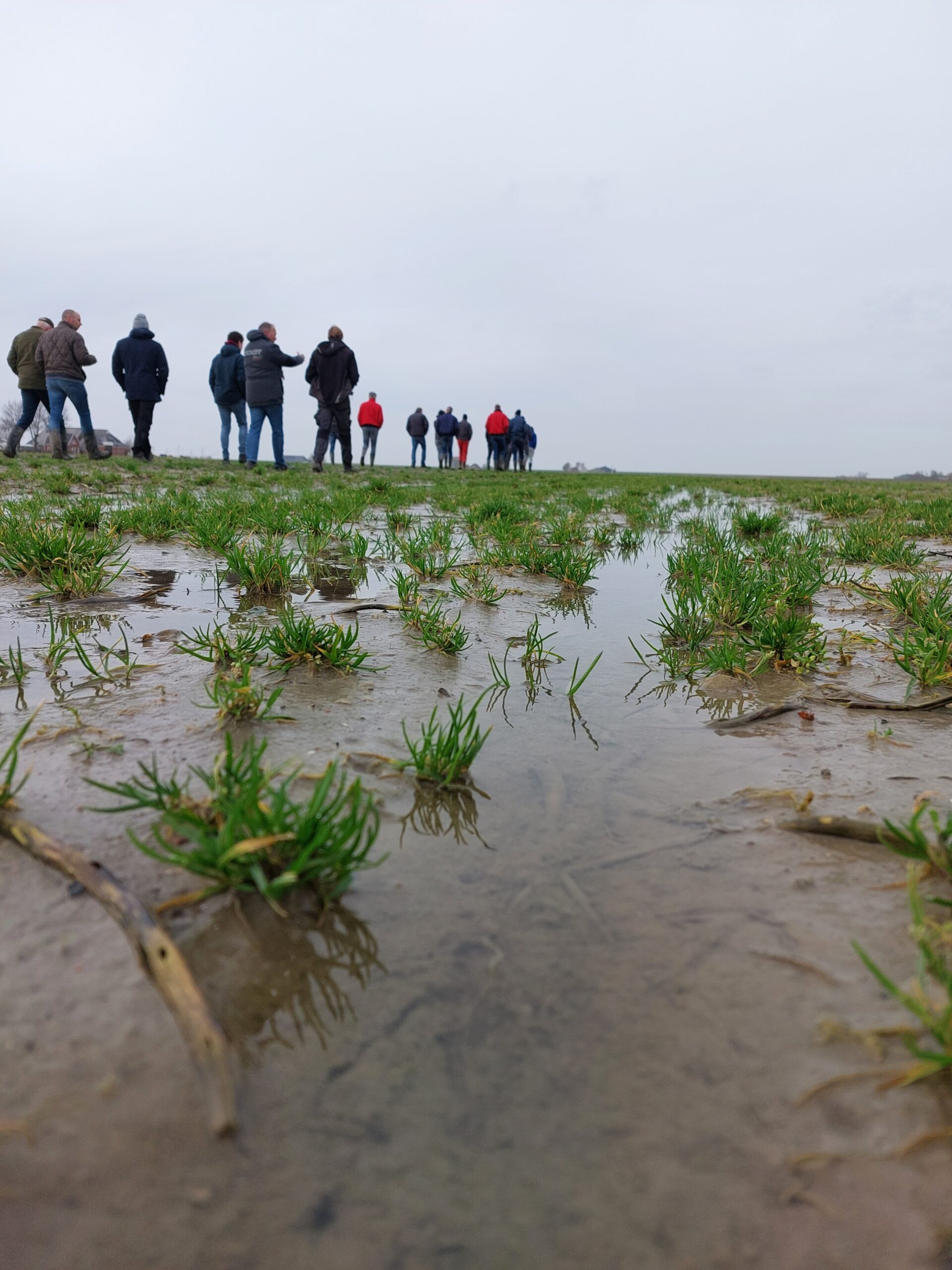 'Plan B' bij natte percelen - Deltaplan Agrarisch Waterbeheer