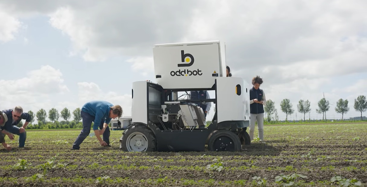 Robots die onkruid wieden in beeld: welke kies jij? - Deltaplan ...